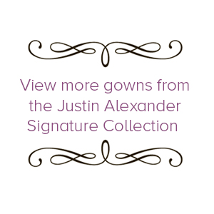 view_more_jas - Paris Connection